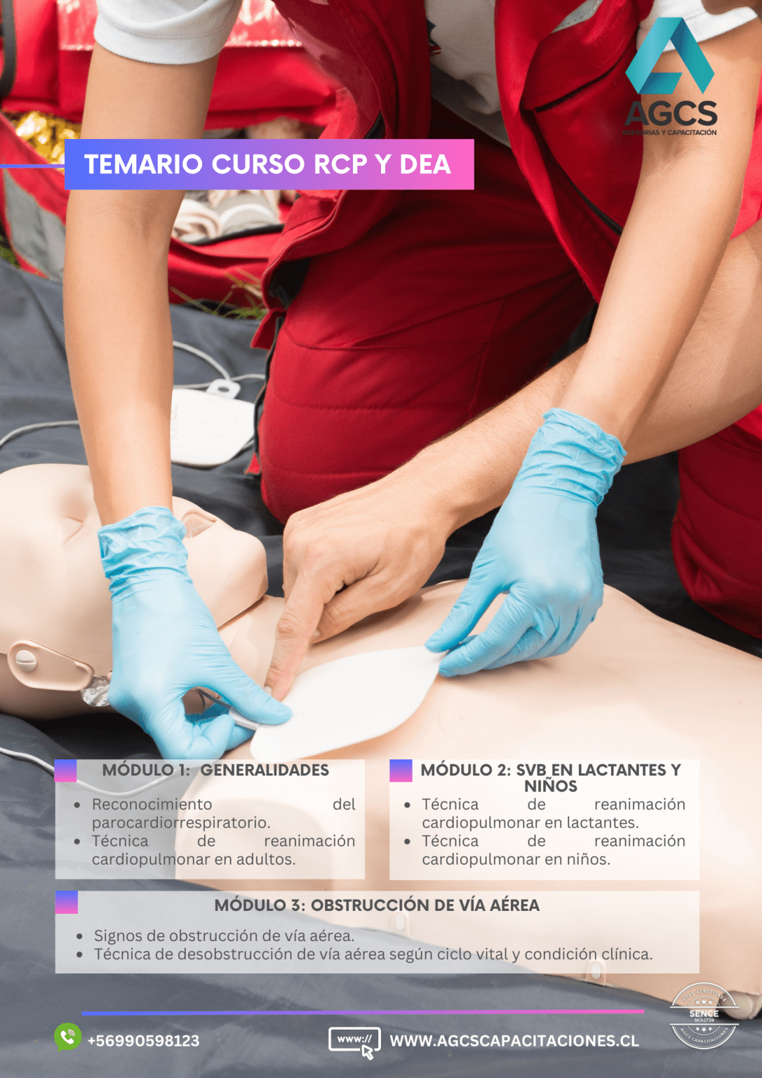 Curso Reanimación Cardiopulmonar RCP y DEA (30 Horas) – AGCS Capacitaciones